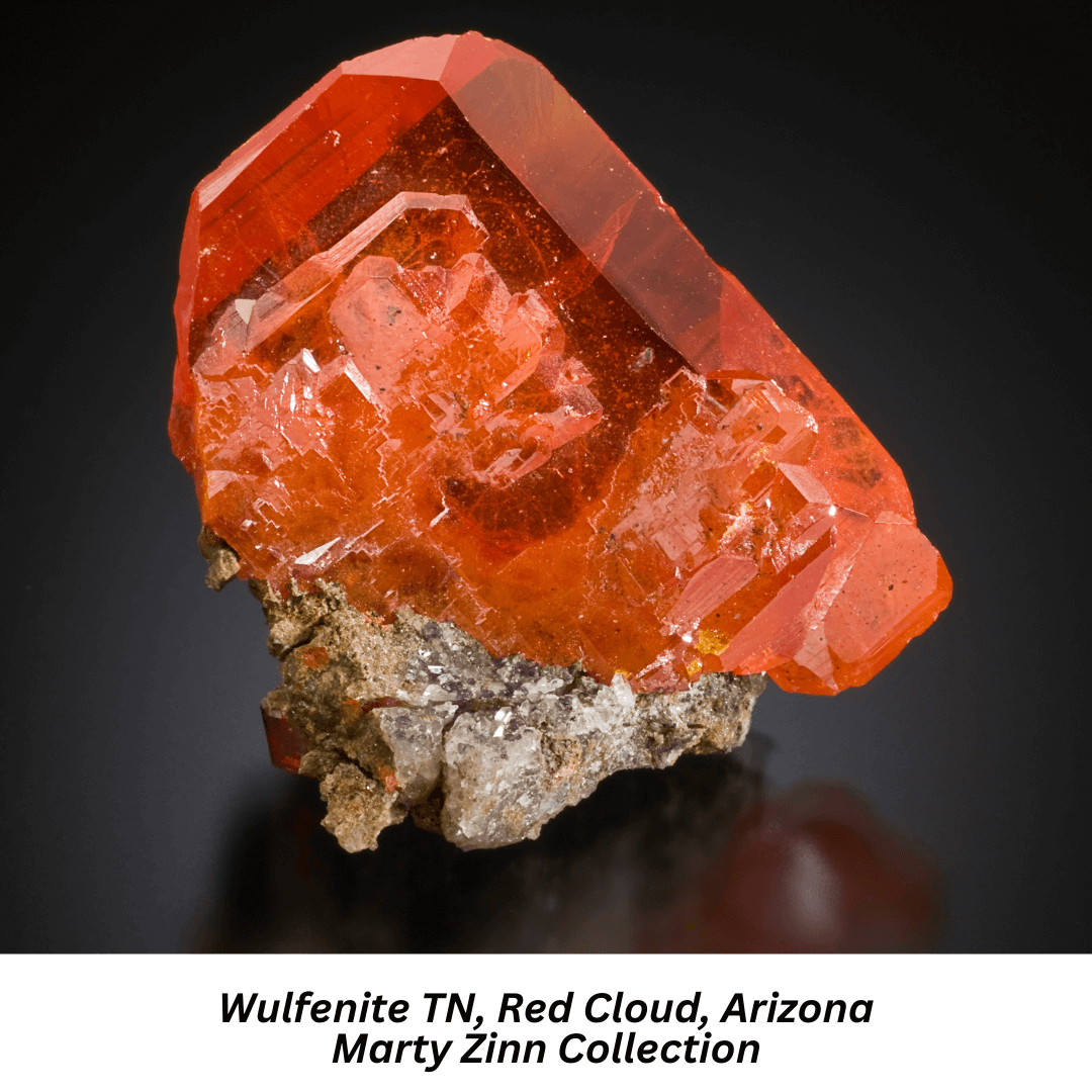 Treasure Hunting in the Rockies: The Story of the Colorado Mineral ...