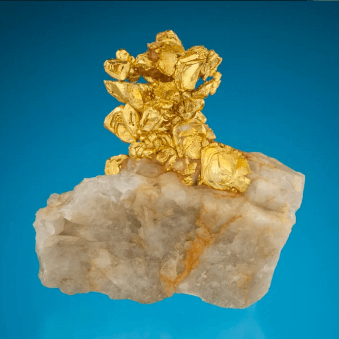 From Collector to Promoter: Laura Delano Leads the West and East Coast ...