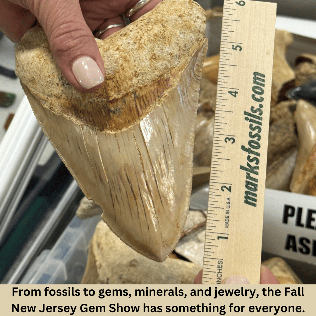 2025 Calendar of Gem, Mineral, Fossil and Jewelry Shows in Ontario, Canada