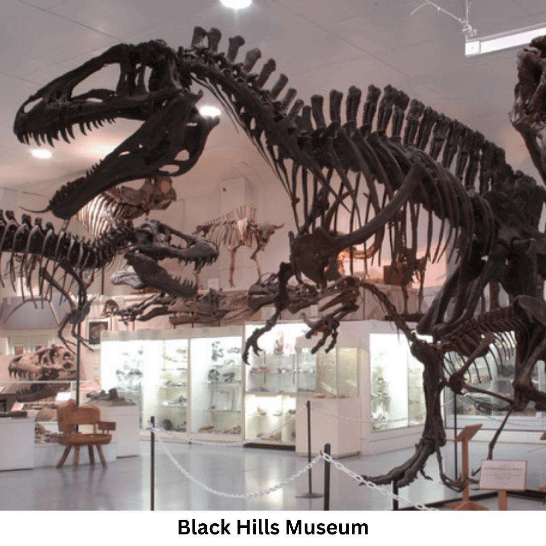 A Bite Out of Prehistory: Black Hills Institute Brings World’s Largest ...
