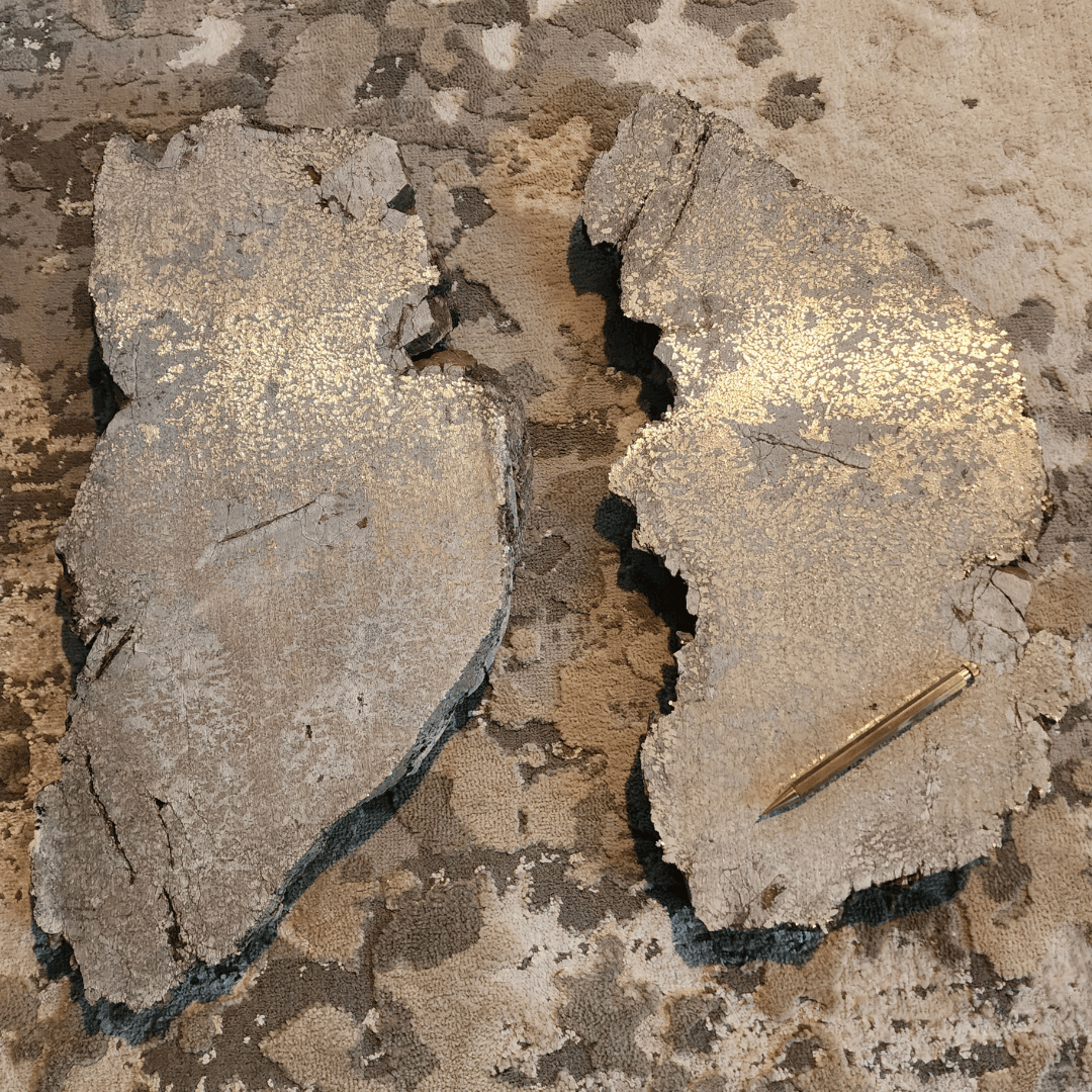 Arizona Silver, Rewritten: The 417 Project Debuts at the RMGM Show in ...