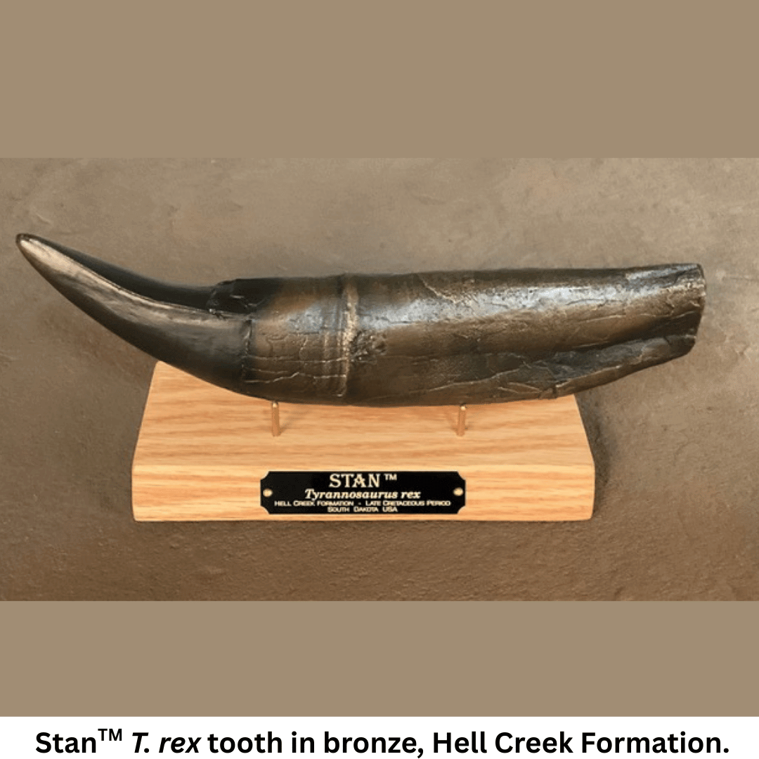 A Bite Out of Prehistory: Black Hills Institute Brings World’s Largest ...